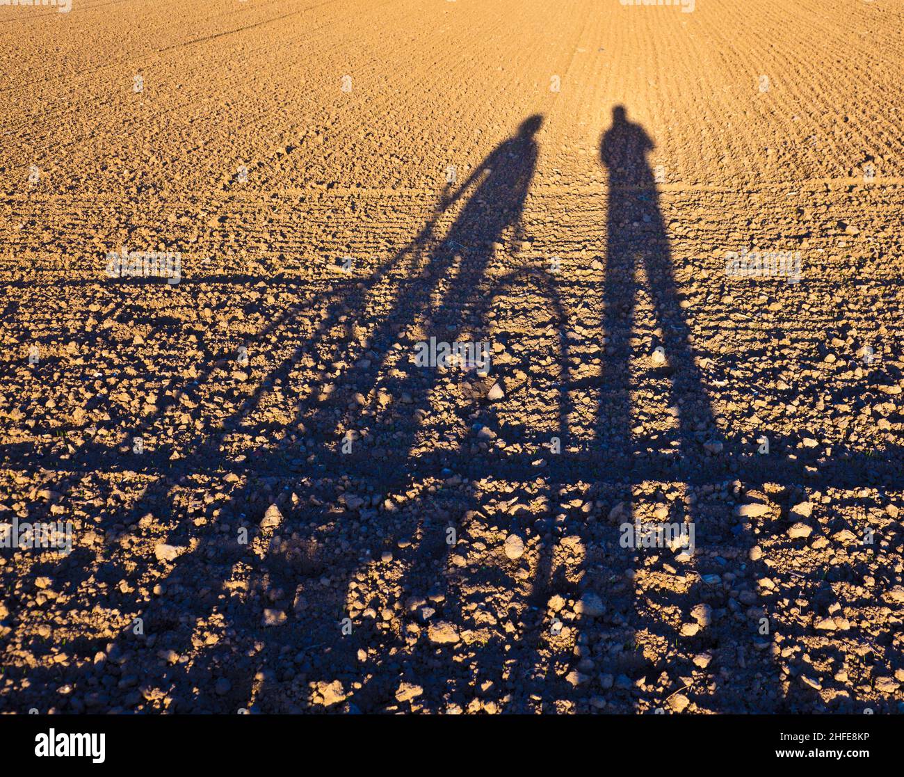 shadow of gesturing man Stock Photo - Alamy