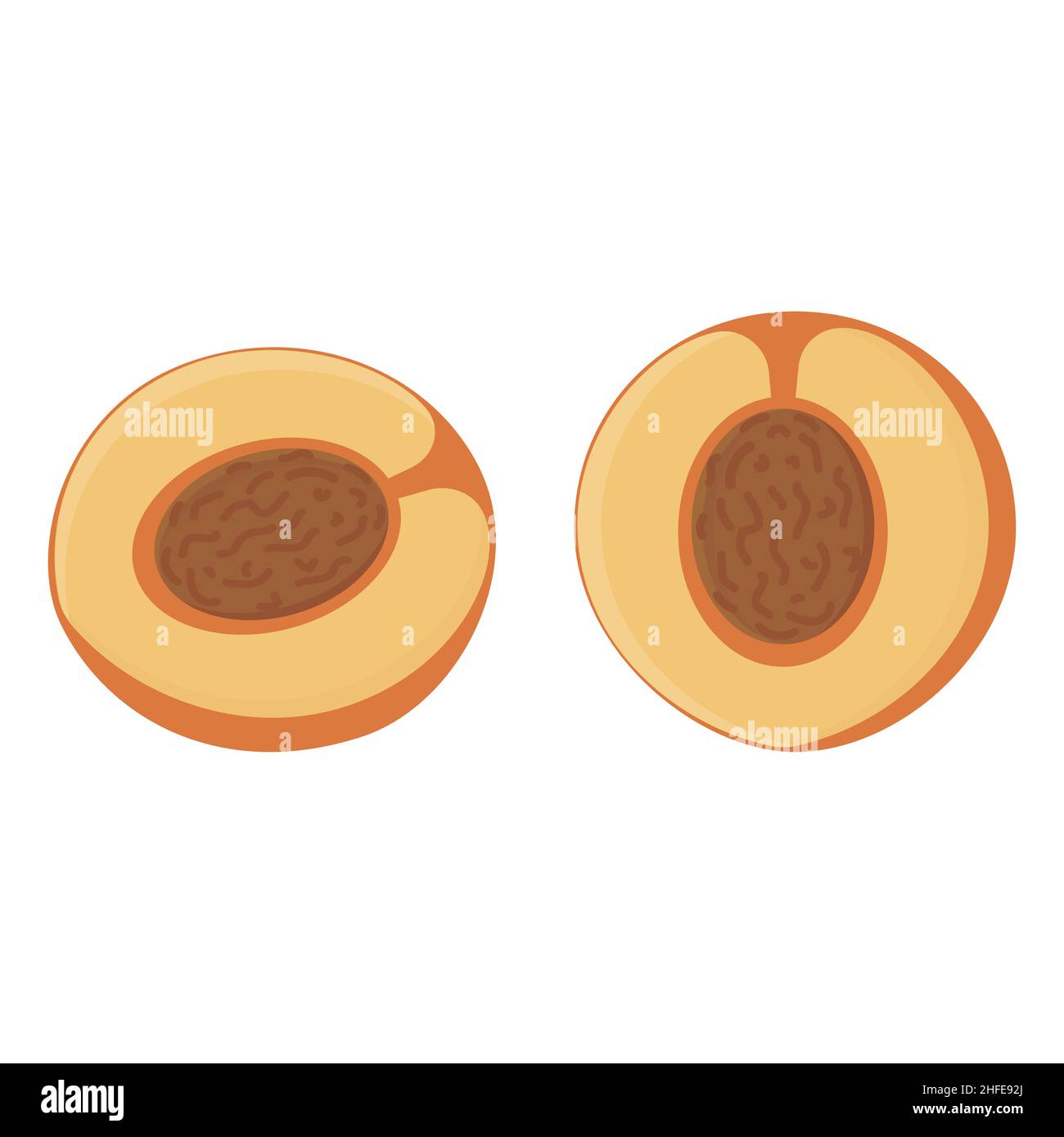 Peach halves fruit with a stone, color isolated vector illustration ...