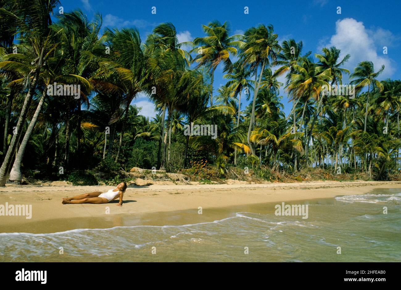 Beauty lay down on sand tropical palm beach back ground Stock Photo - Alamy