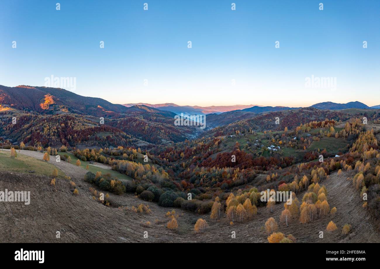 High mountain ridge with yellowed and terracotta trees in bright colorful forest under cloudless ...