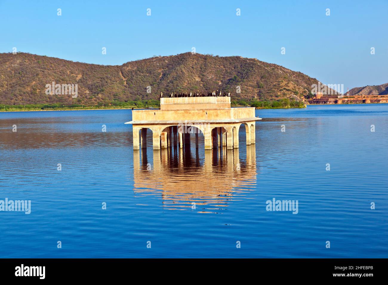 Water Palace (Jal Mahal) in Man Sagar Lake. Jaipur, Rajasthan, India ...