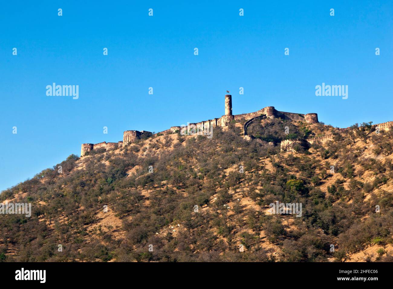 famous Amber Fort in Jaipur Stock Photo - Alamy