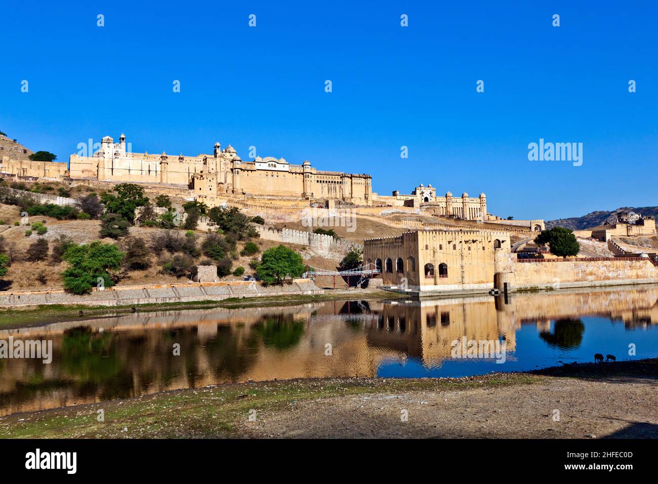 famous Amber Fort in morning light Stock Photo - Alamy