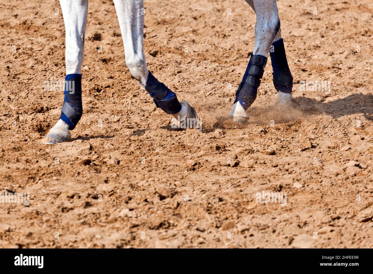 feet of horse riding in teh riding course Stock Photo - Alamy