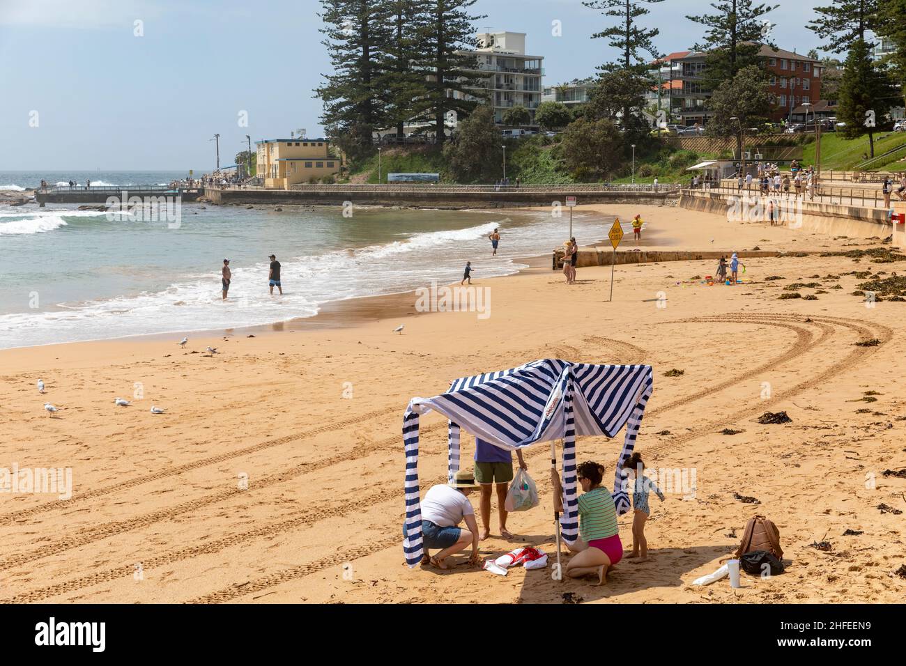 Dee Why Beach Sydney Australia, one of Sydney's famous northern beaches ...