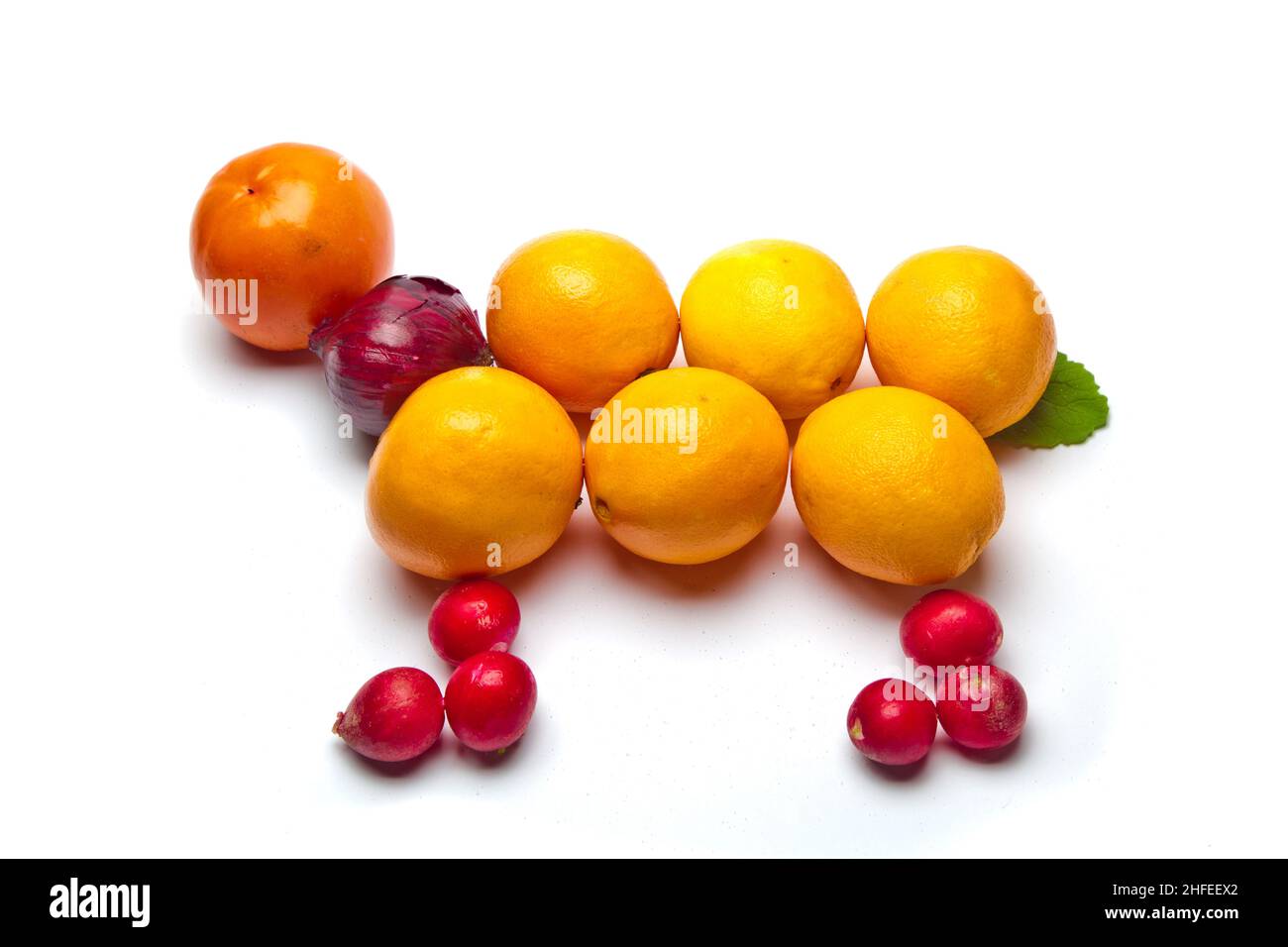 fruits combined as animal Stock Photo - Alamy