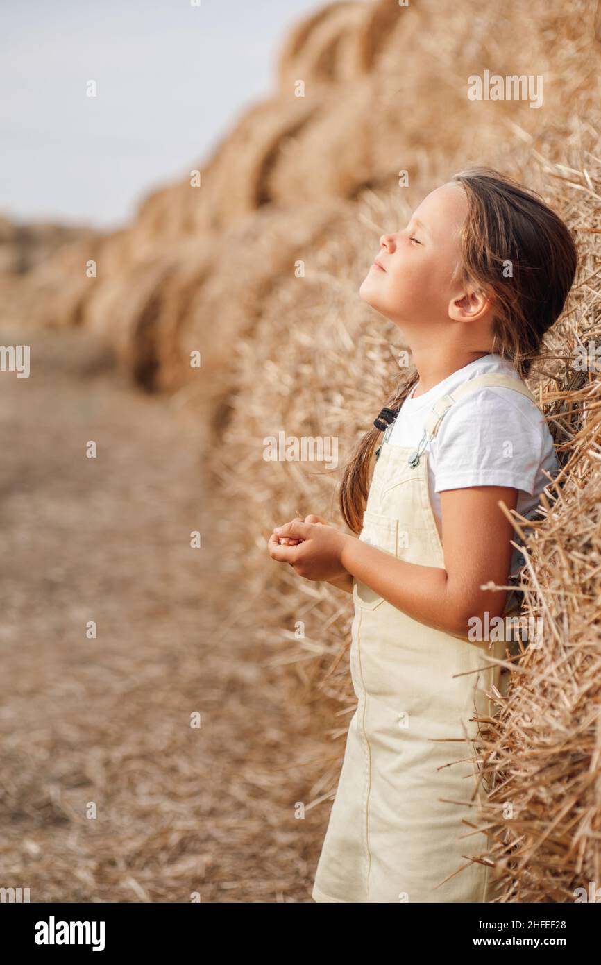 Serious little girl leaning on high haystack in full of hay field with ...