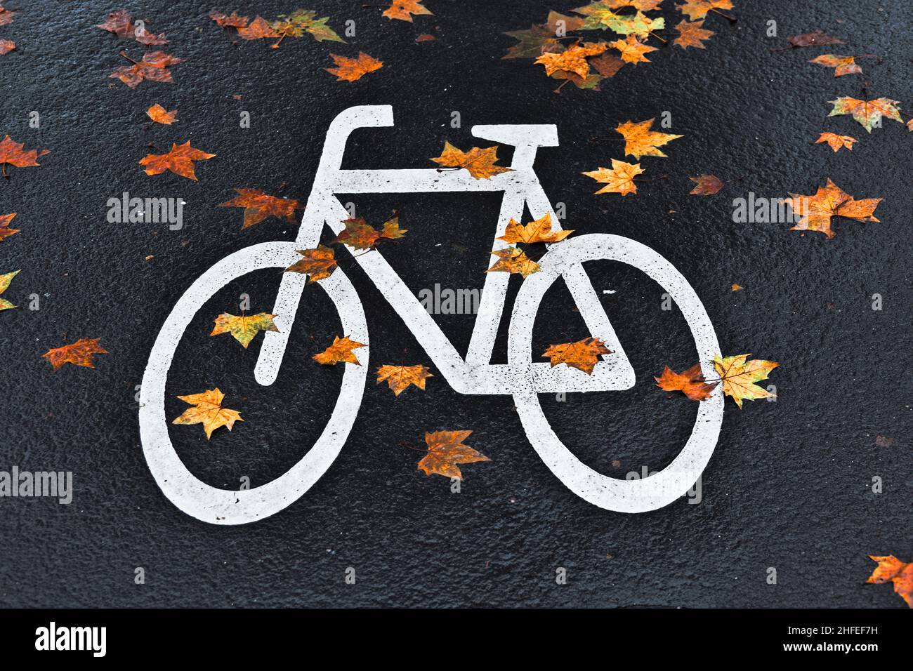 white mark bicycle lane at the street Stock Photo - Alamy