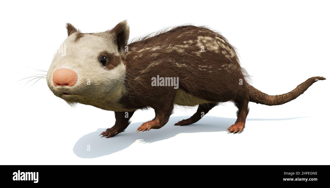 Walking With Dinosaurs Alphadon