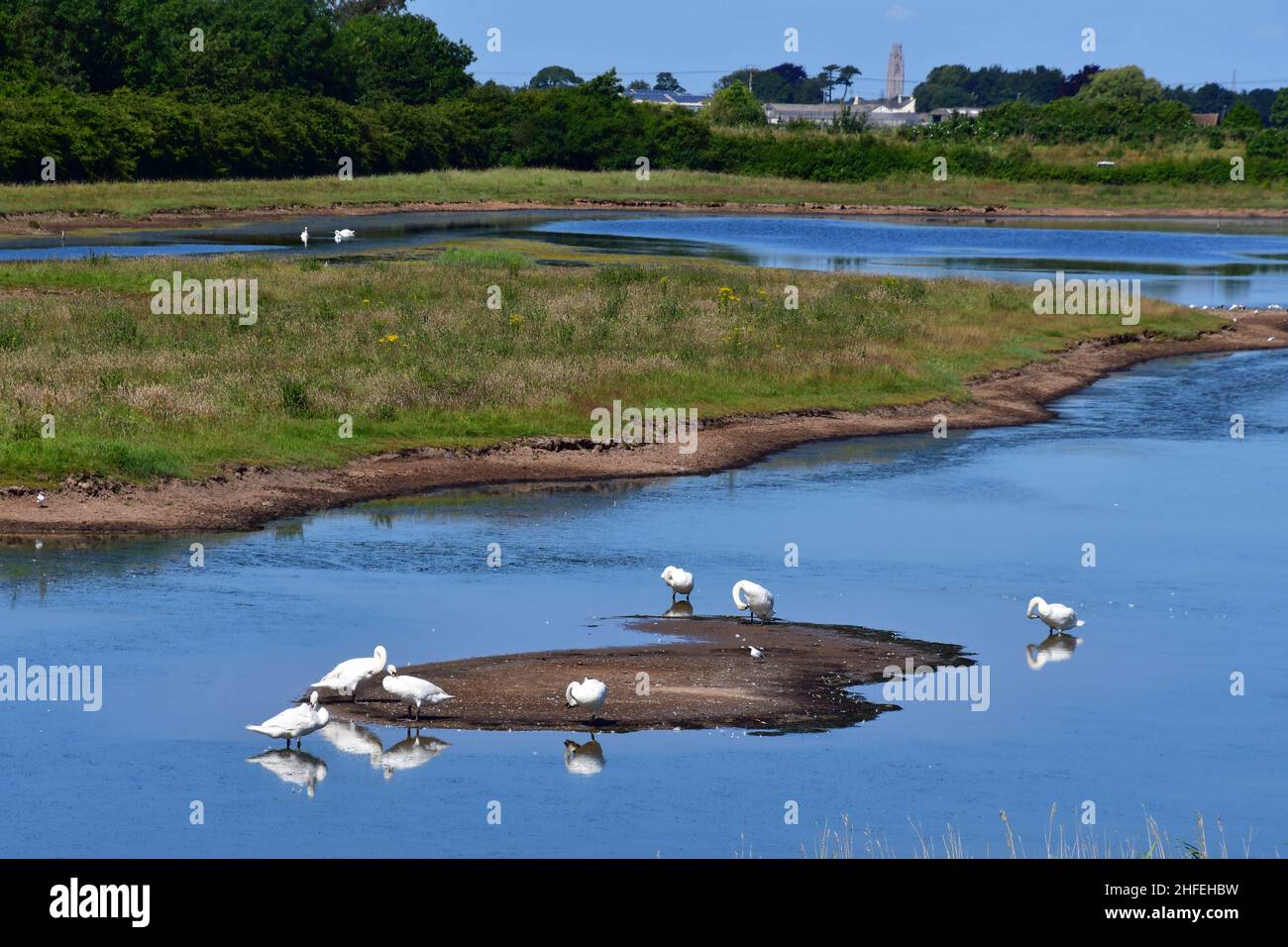 Freiston shore nature reserve hi-res stock photography and images - Alamy