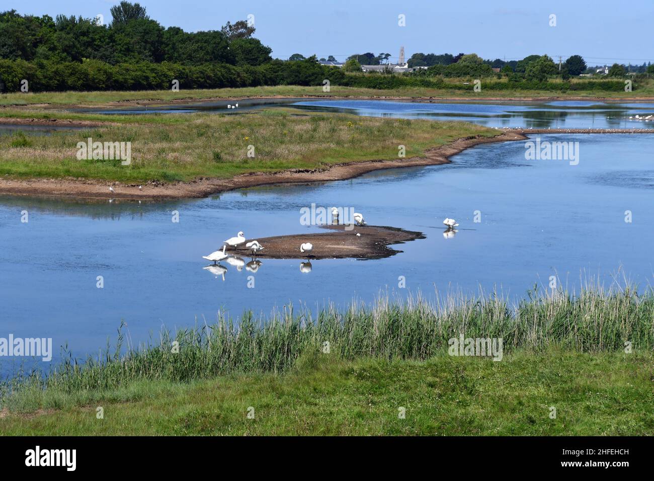 RSPB Freiston Shore, Freiston, Lincolnshire, England, UK Stock Photo ...