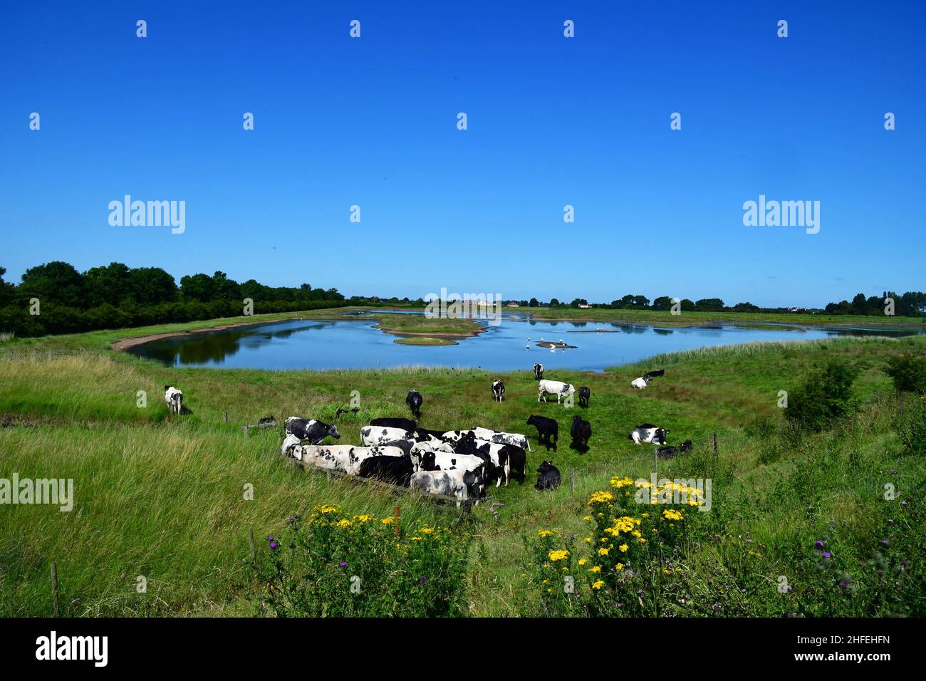 Freiston shore hi-res stock photography and images - Alamy