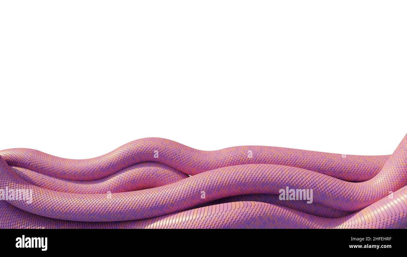 pink snakes isolated on white background Stock Photo - Alamy