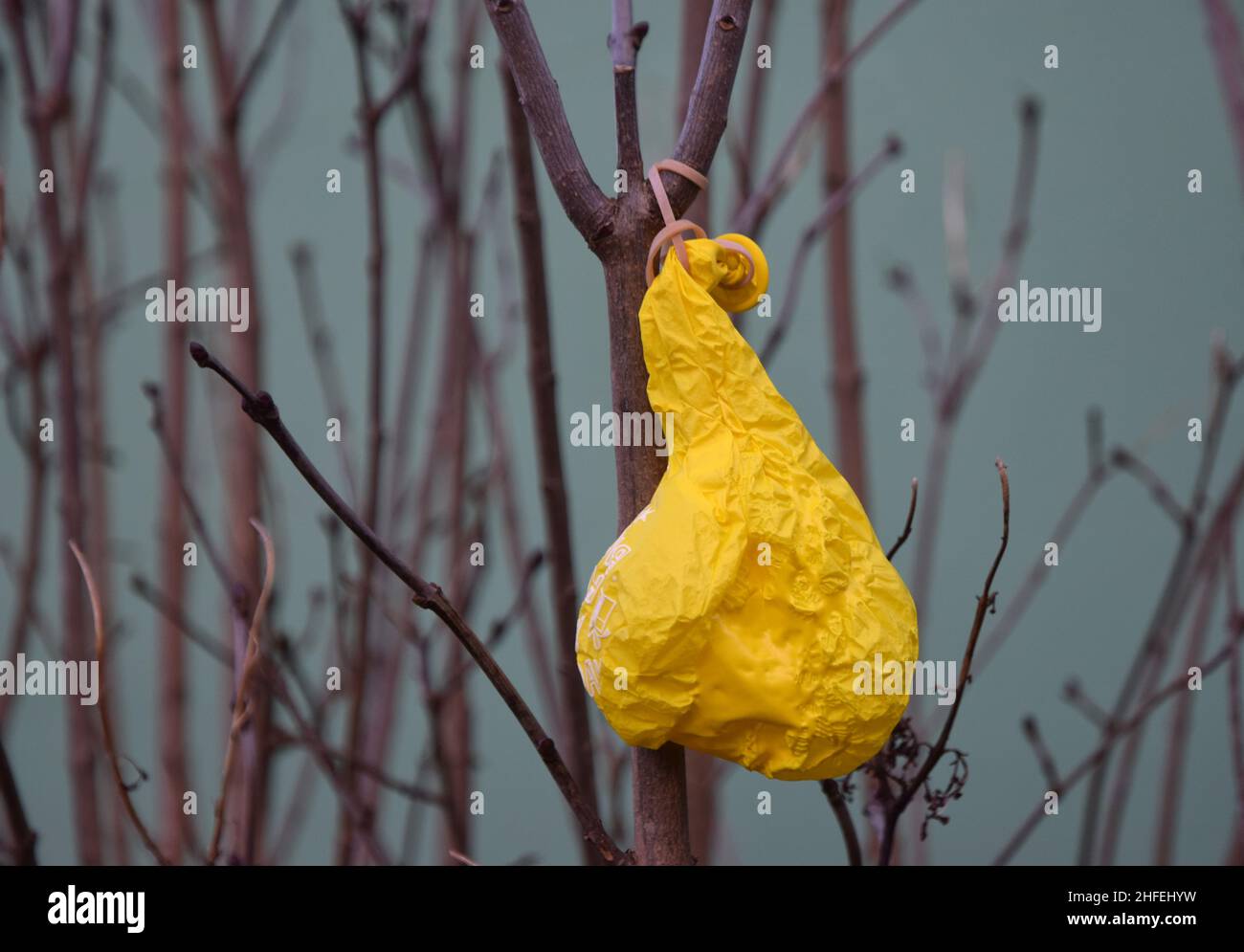 Deflated balloon hi-res stock photography and images - Alamy