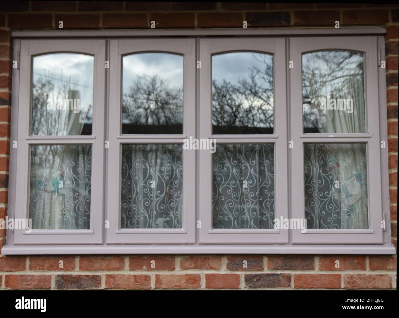 Curtained window with tree reflection, uk Stock Photo - Alamy
