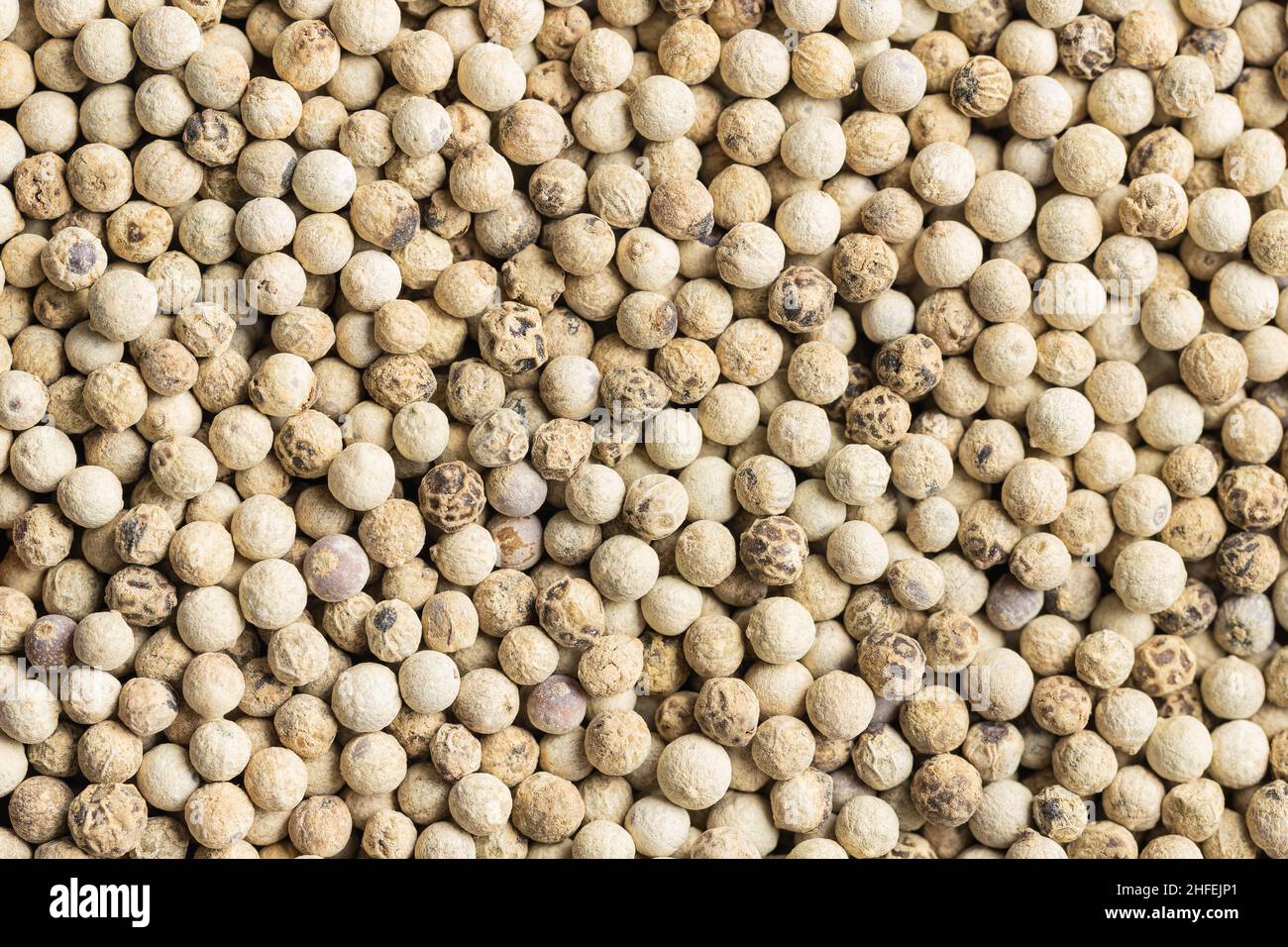 Whole pepper spice. White peppercorn grain. Top view Stock Photo - Alamy