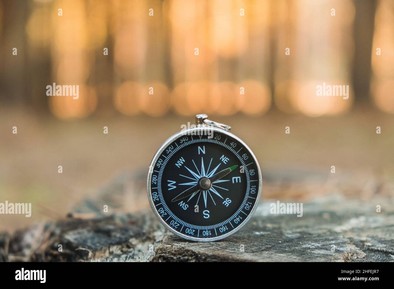 a compass seeking orientation in nature Stock Photo - Alamy