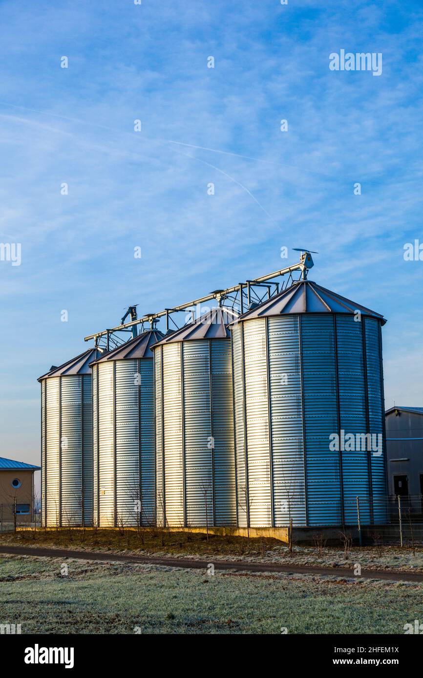 golden corn field in harvest with silo Stock Photo - Alamy