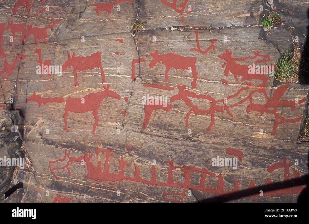 Old rock carvings, oldest made around 4500 B.C, analog. About 2600 ...