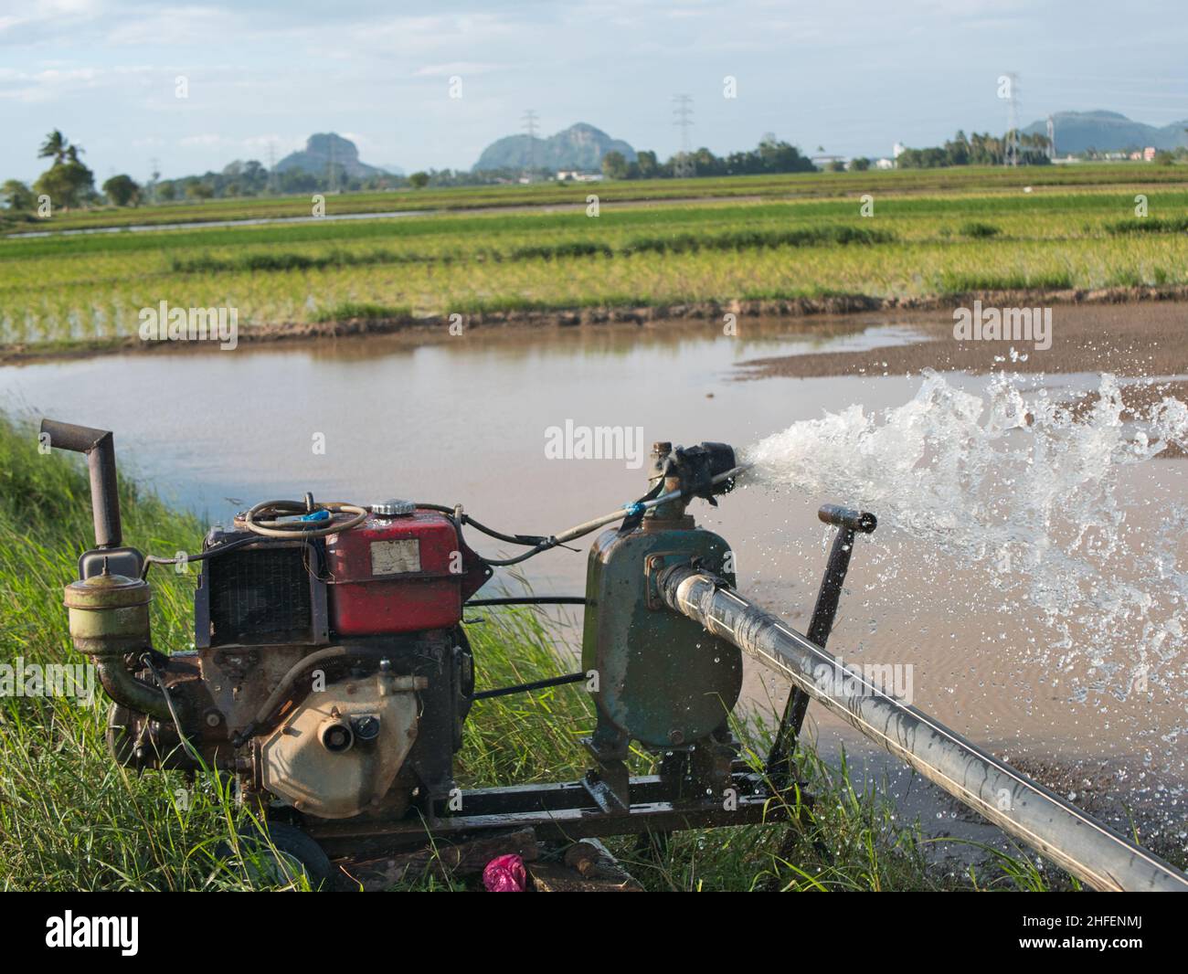 Water gushing out from the water pump into the rice paddy field for ...