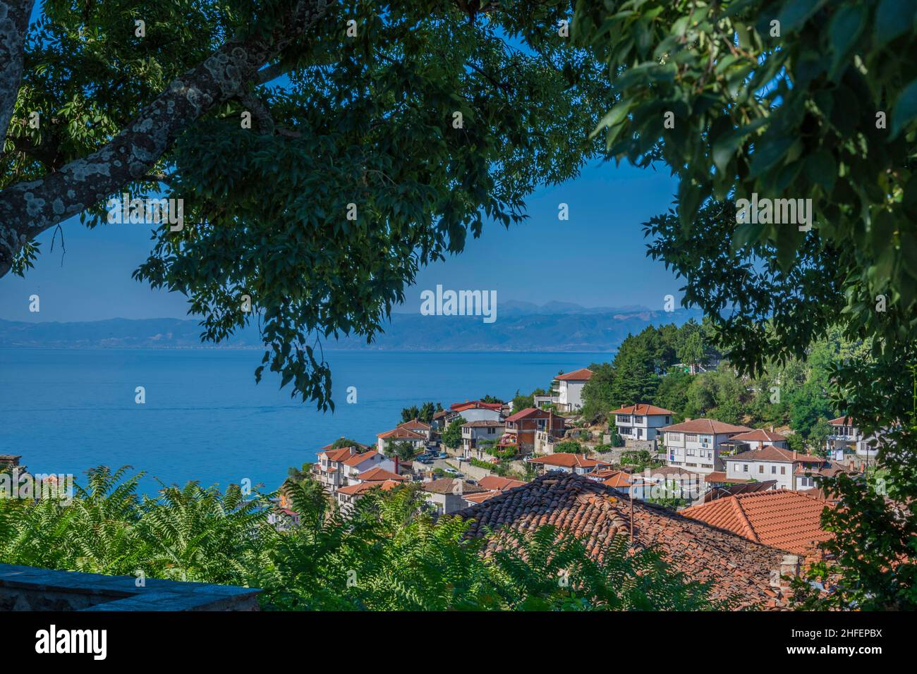 Summer coast lake ohrid north hi-res stock photography and images - Alamy