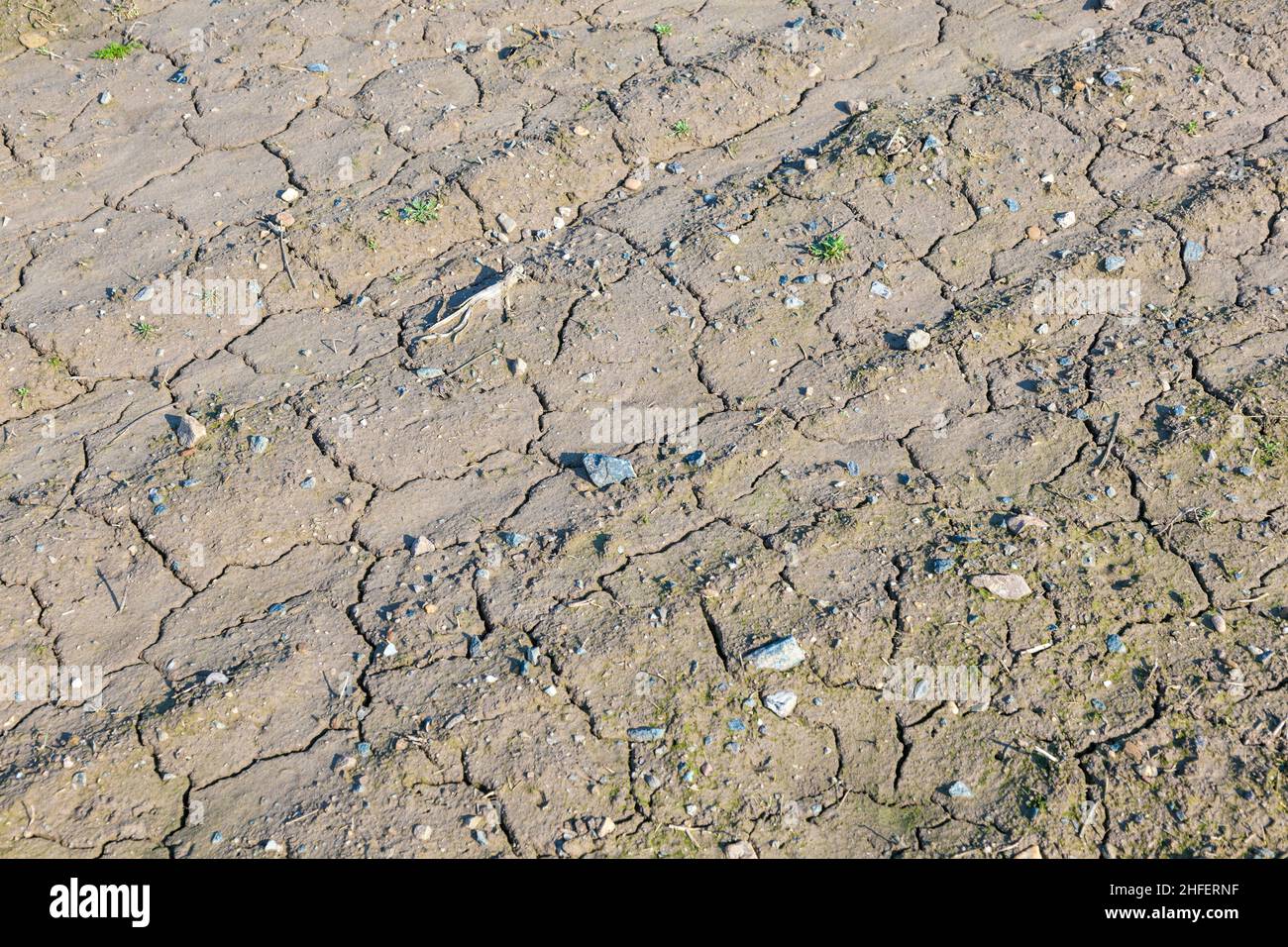 detail of field with cracked wet earth Stock Photo - Alamy