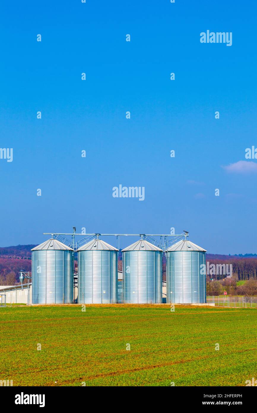 four silver silos in field under bright sky Stock Photo - Alamy