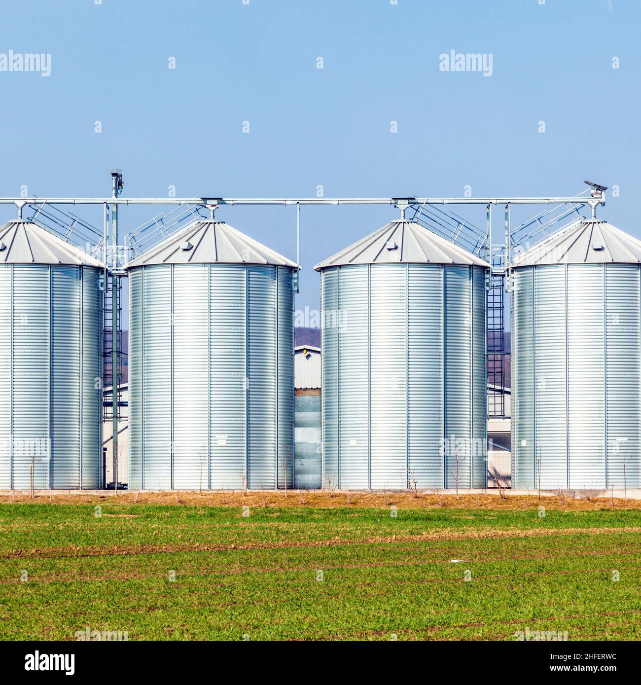 four silver silos in field under bright sky Stock Photo - Alamy