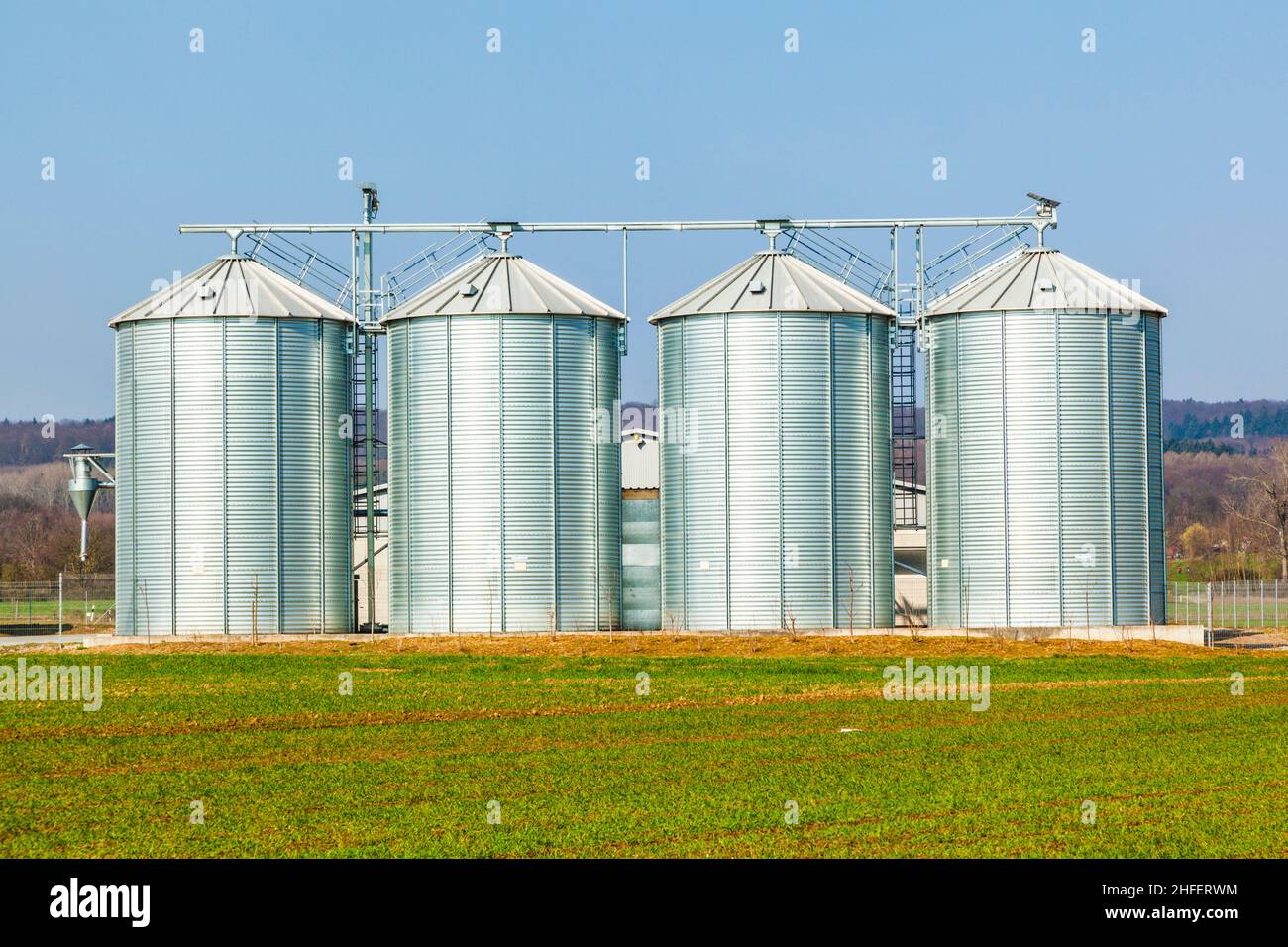 four silver silos in field under bright sky Stock Photo - Alamy