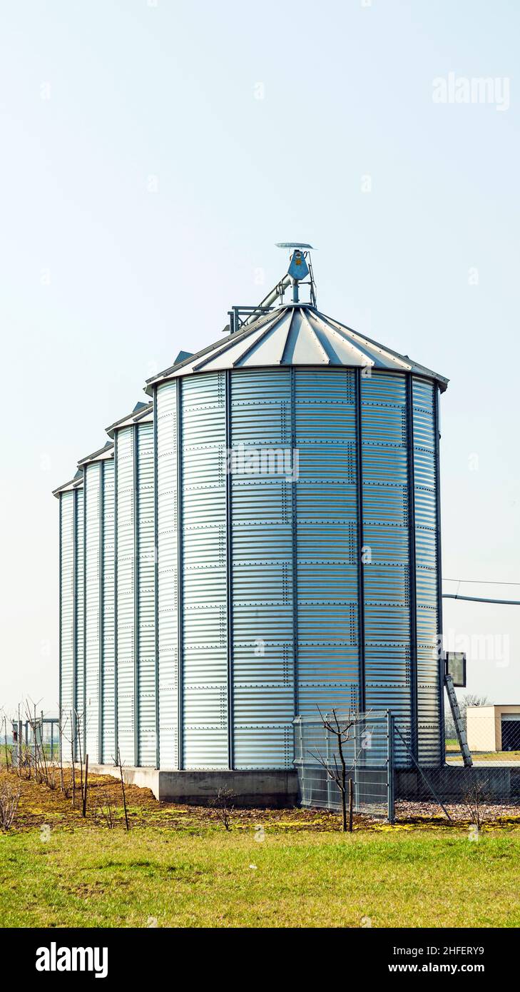 four silver silos in field under bright sky Stock Photo - Alamy