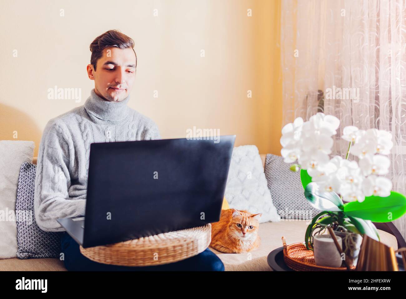 Man working online from home with pet using laptop sitting on couch ...