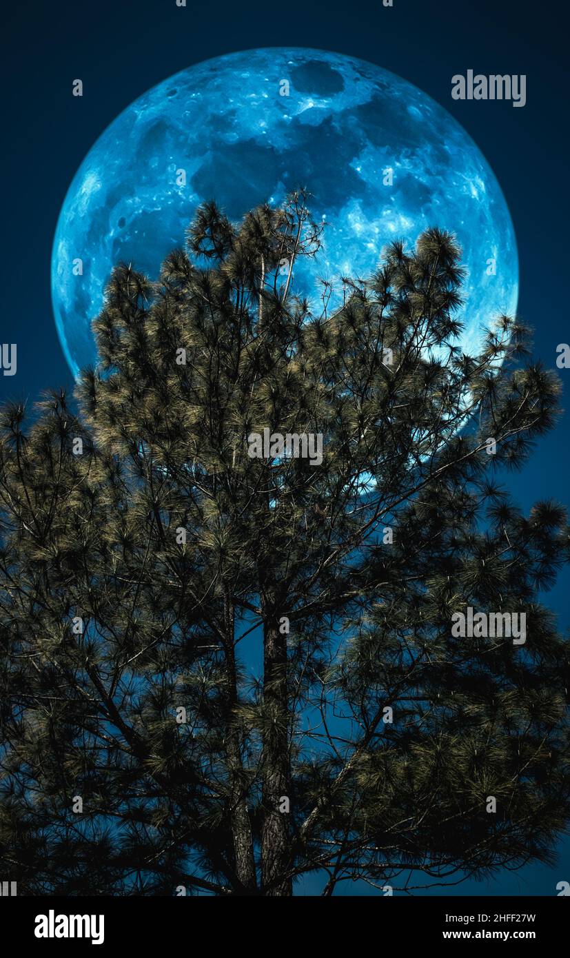 Supermoon. Beautiful night landscape of blue sky and full moon with ...