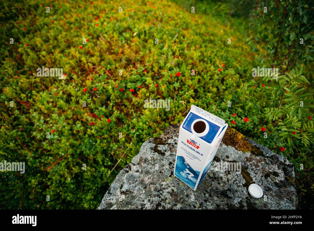 Package curdled milk Kulturmjolk or sour from Tine stands on a rock in ...