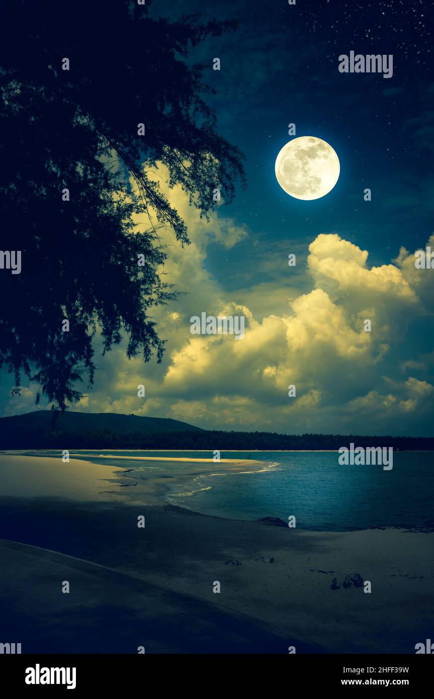 Beautiful landscape on seascape. Attractive many stars and full moon on ...