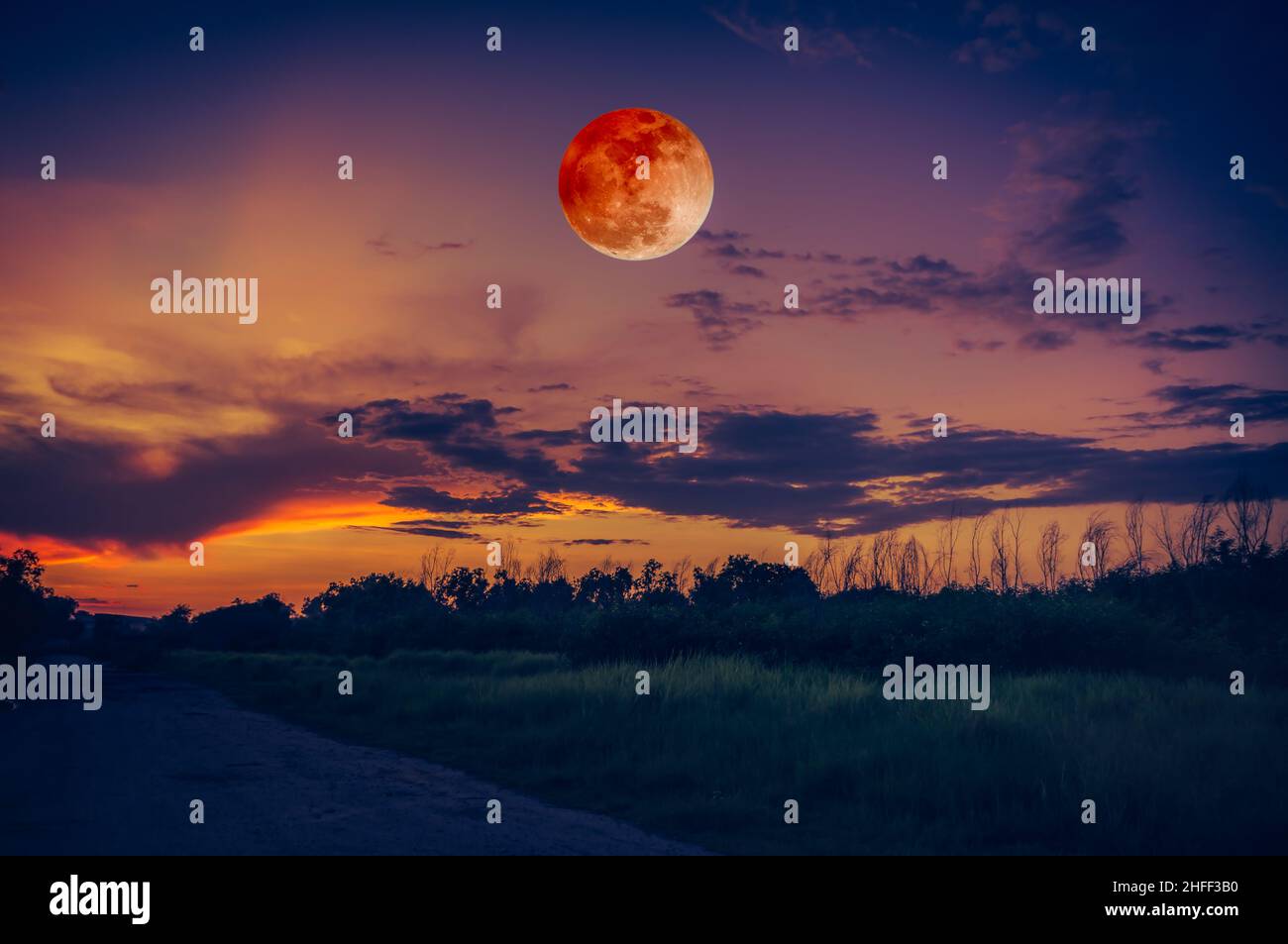 Beautiful countryside area at night. Attractive red blood moon on dark ...