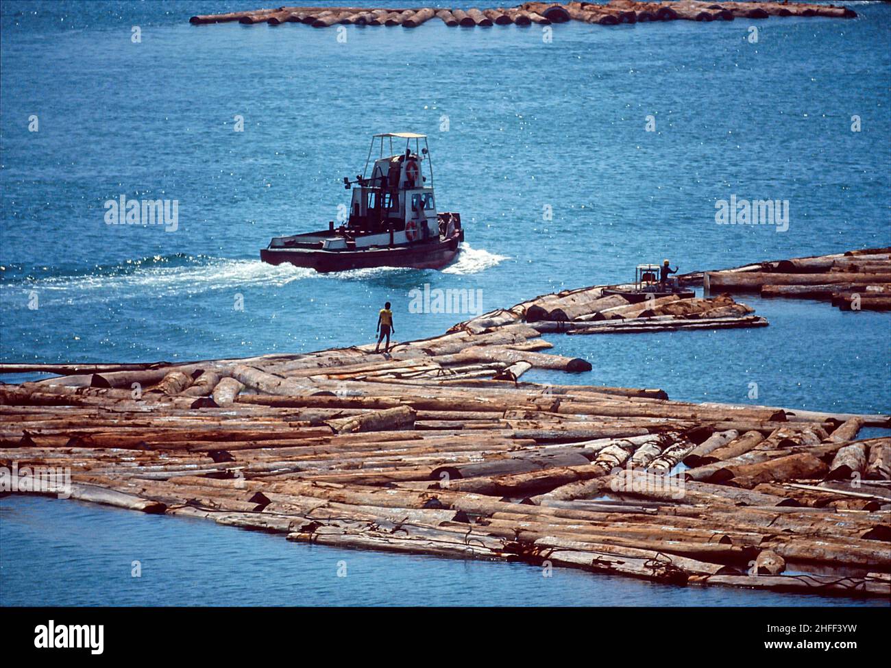 Floating Logs in the Timber Port of Takoradi, Ghana, West Africa Stock ...