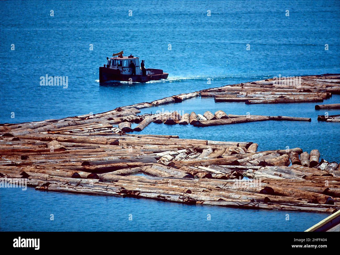 Floating Logs in the Timber Port of Takoradi, Ghana, West Africa Stock ...