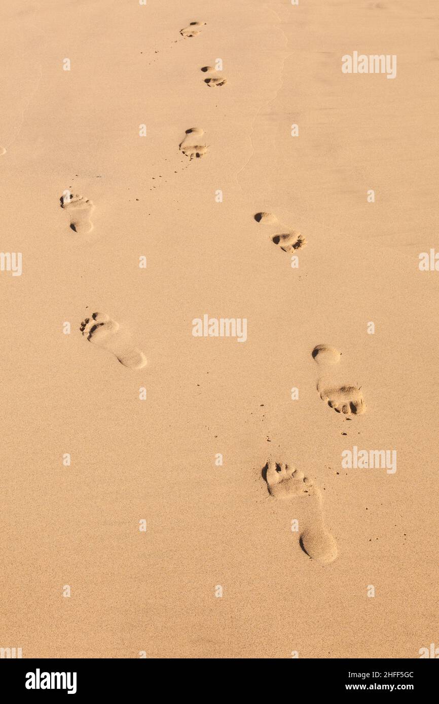 human footsteps at the clean sandy beach Stock Photo - Alamy