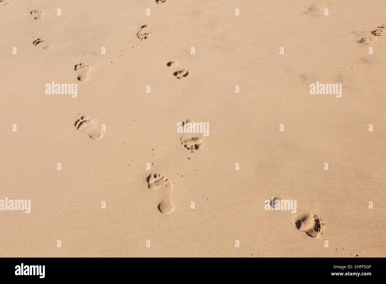 human footsteps at the clean sandy beach Stock Photo - Alamy