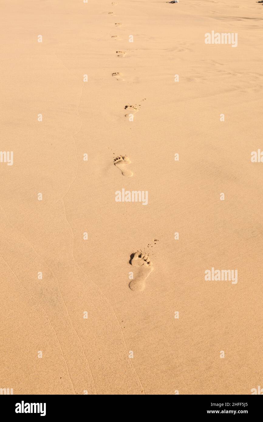 human footsteps at the clean sandy beach Stock Photo - Alamy