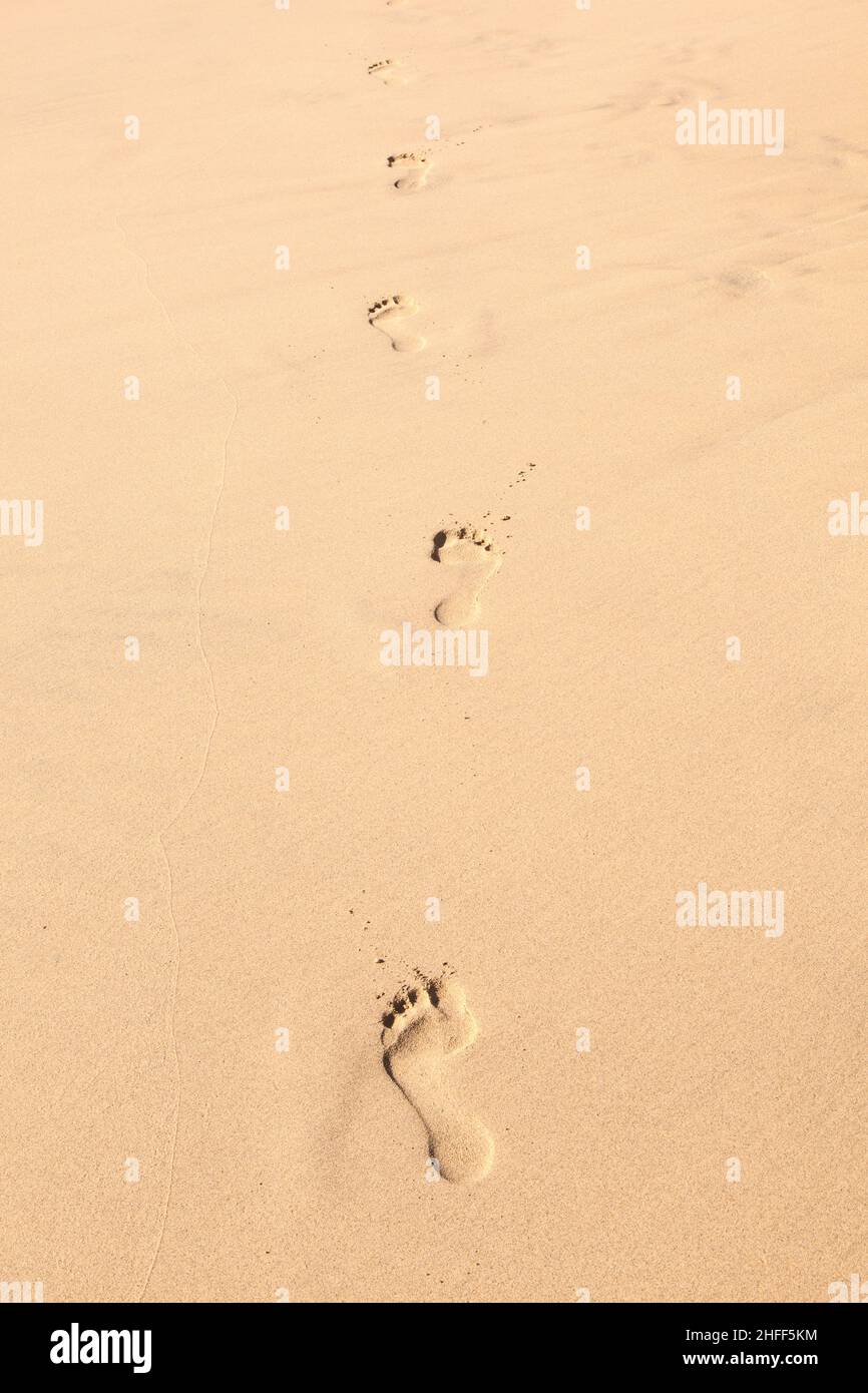 human footsteps at the clean sandy beach Stock Photo - Alamy