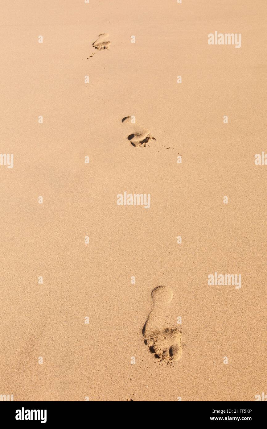 human footsteps at the clean sandy beach Stock Photo - Alamy