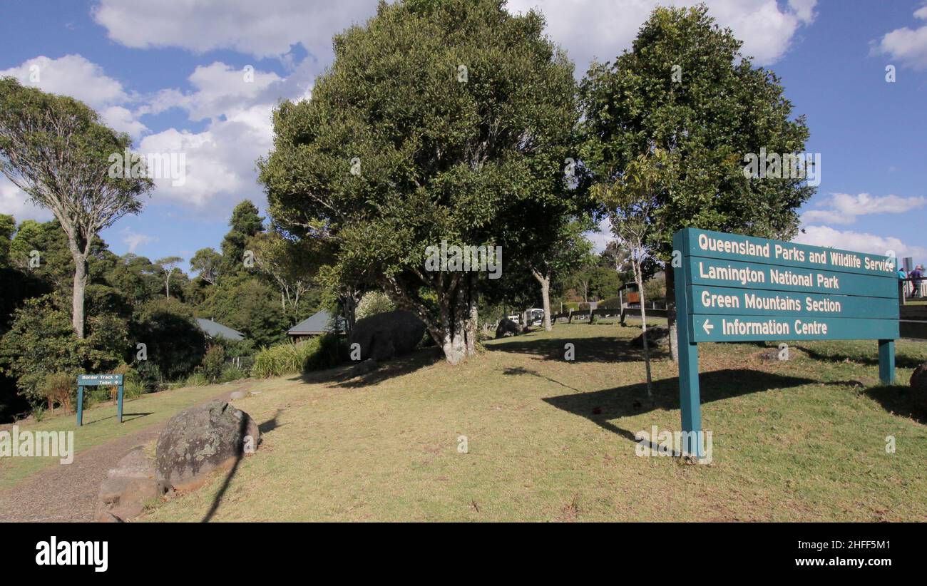 Lamington National Park in Queensland in Australia Stock Photo - Alamy
