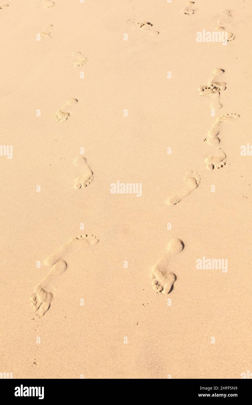 human footsteps at the clean sandy beach Stock Photo - Alamy