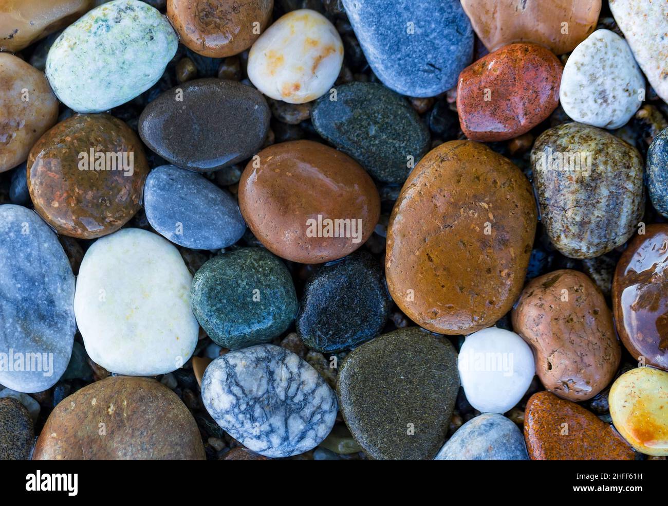 Wet round colorful stones on the bank of Baikal lake. Natutal ...