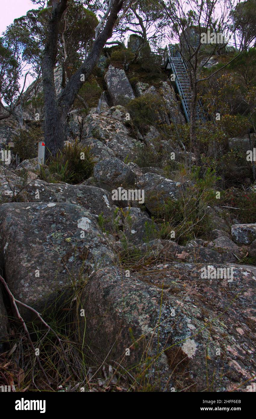 The trail to Genoa Peak in Victoria in Australia Stock Photo - Alamy