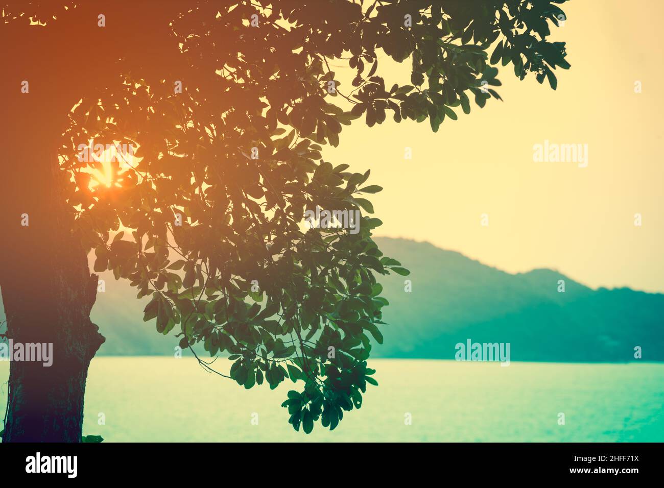 Sunbeam through tree, summer nature background. Dramatic colorful ...