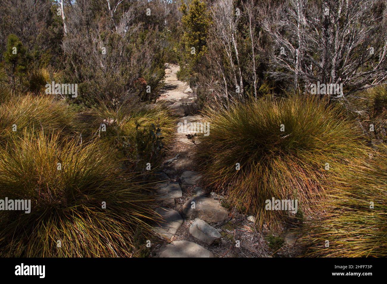 Shadow Lake Trail in Tasmania,AustraliaShadow Lake Trail in Tasmania ...