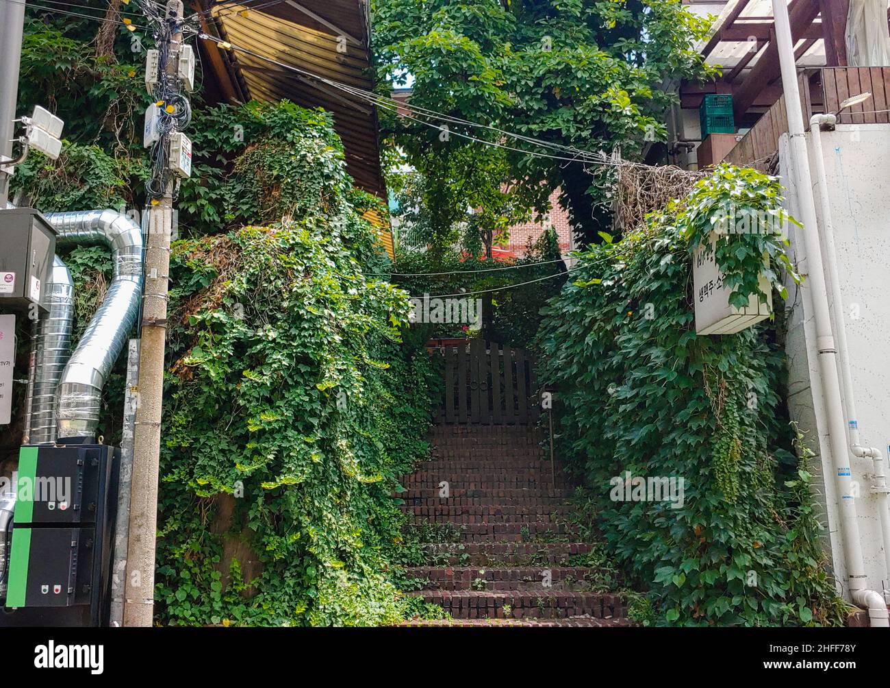 Overgrown walls hi-res stock photography and images - Alamy