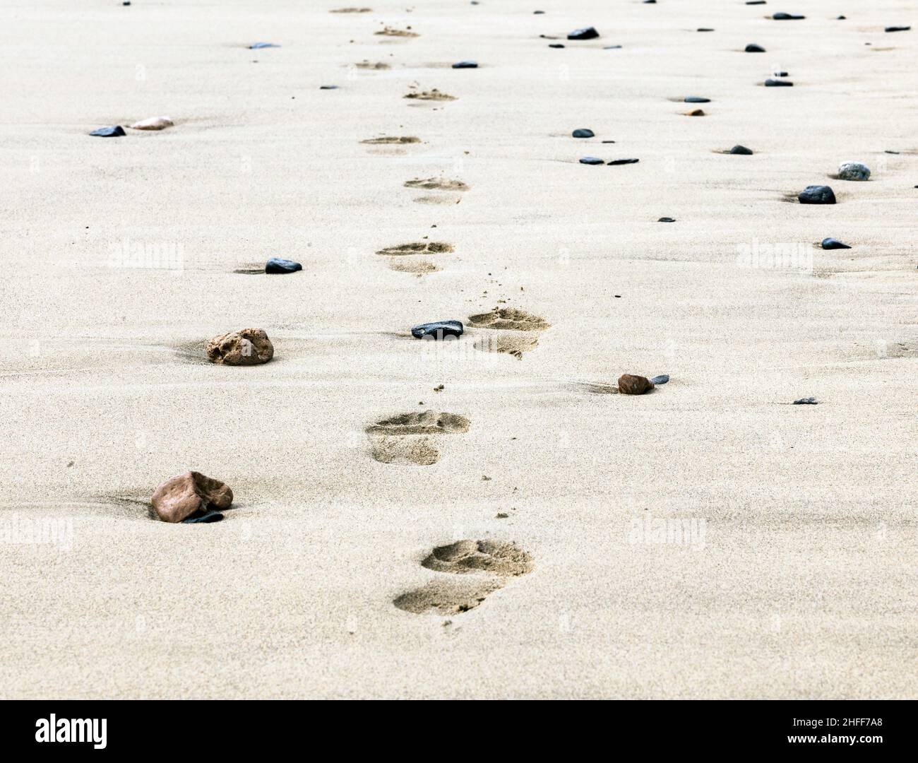 Many footprints on beach hi-res stock photography and images - Alamy